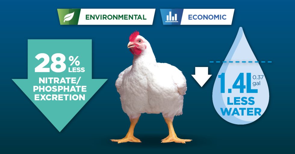Sustainability Hub Supporter Profile: Aviagen UK - Poultry Network