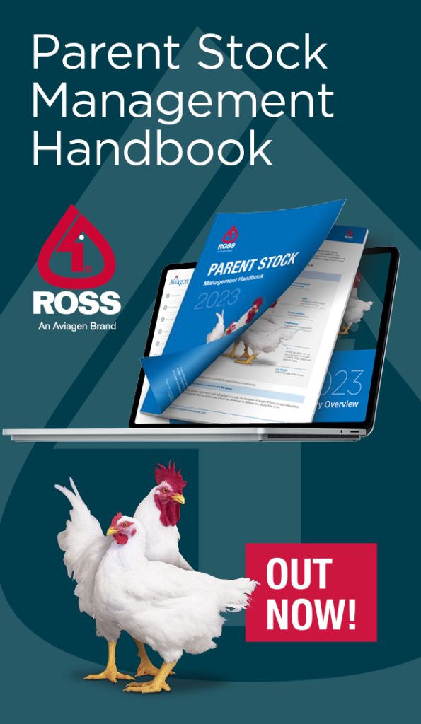 Aviagen Releases New Parent Stock Handbook for Ross breed - Poultry Network
