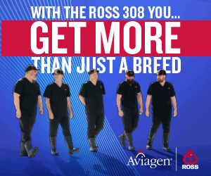 Poultry Network | Egg and Poultrymeat News and Market Updates