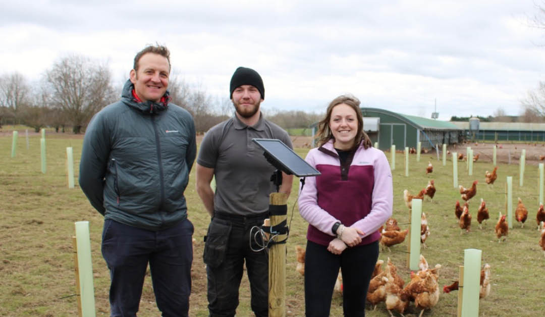 Noble Foods to trial bioacoustic insect monitors on poultry ranges ...