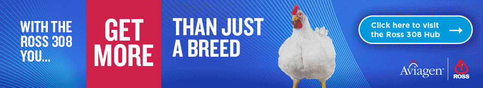 RSPCA Assured releases final updated standards for egg producers ...