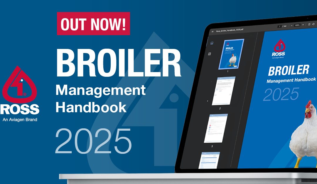 Aviagen releases new Broiler Management Handbook for Ross birds ...