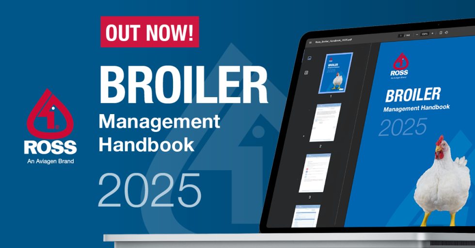 Aviagen releases new Broiler Management Handbook for Ross birds ...