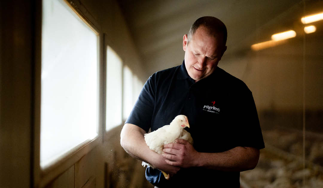 Waitrose hits Better Chicken Commitment target for fresh poultry ...