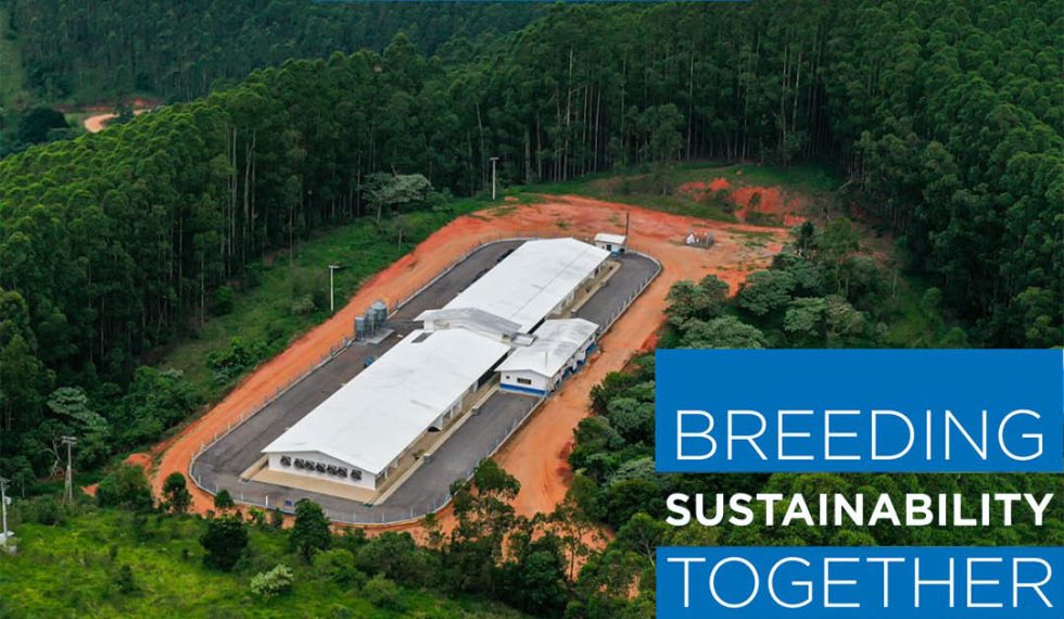 2023 Sustainability Report: Aviagen’s Global Commitment in Action - Poultry Network